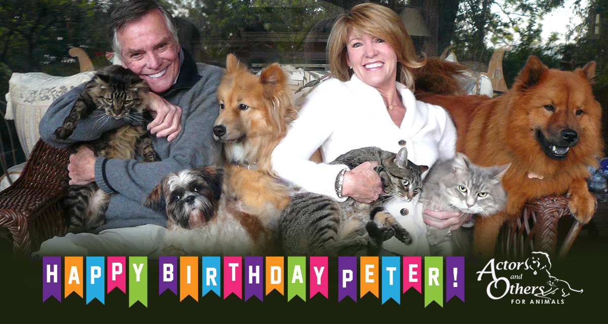 Actors and Others for Animals : Contribute, Donations